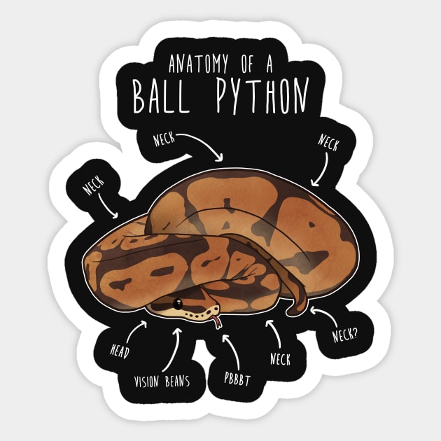 Anatomy of a Ball Python - Snake - Sticker | TeePublic